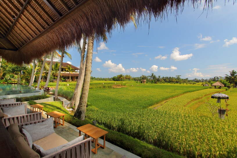 Terracotta Restaurant Ubud Bali Mathis Collection